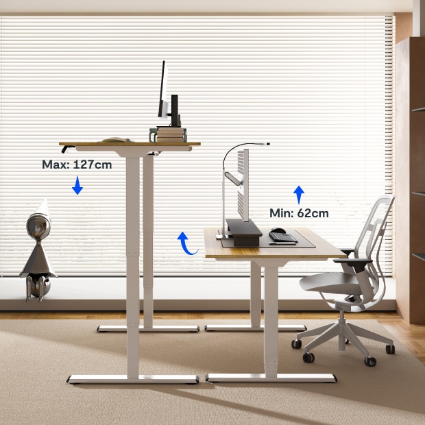 3-Stage Inverted Dual-Motor Standing Desk E5 | FlexiSpot
